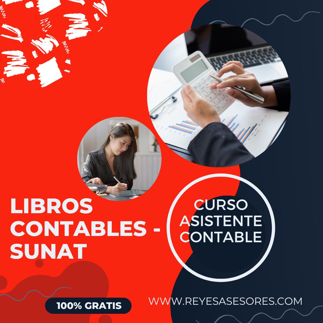 Curso Asistente Contable: Clase 02 – Libros y registros contables vinculados a asuntos ...